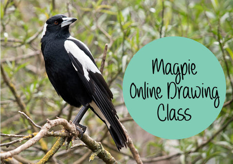 Classes – Katherine Charlton Art